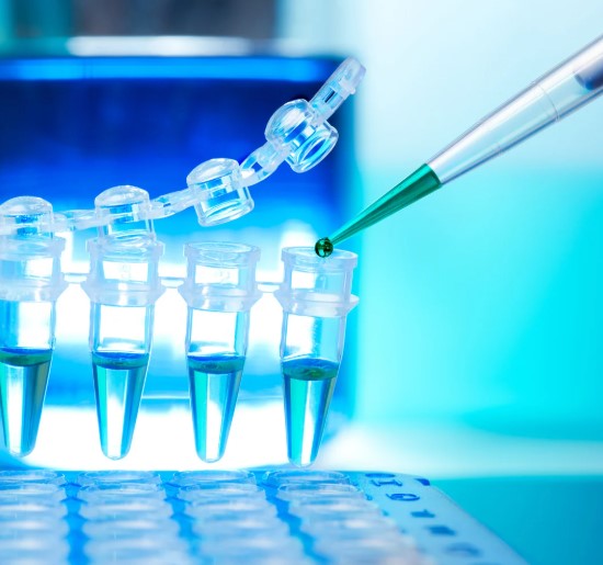 PCR Consumables – Roylab Global